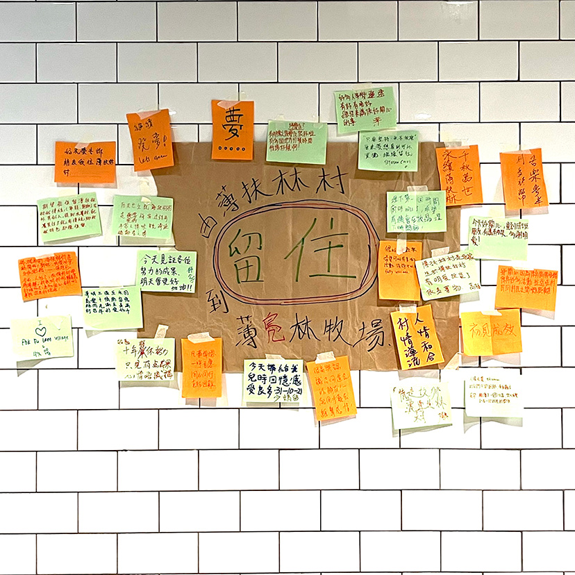 薄扶林村聚落節 2022 - 撲飛 POPTICKET