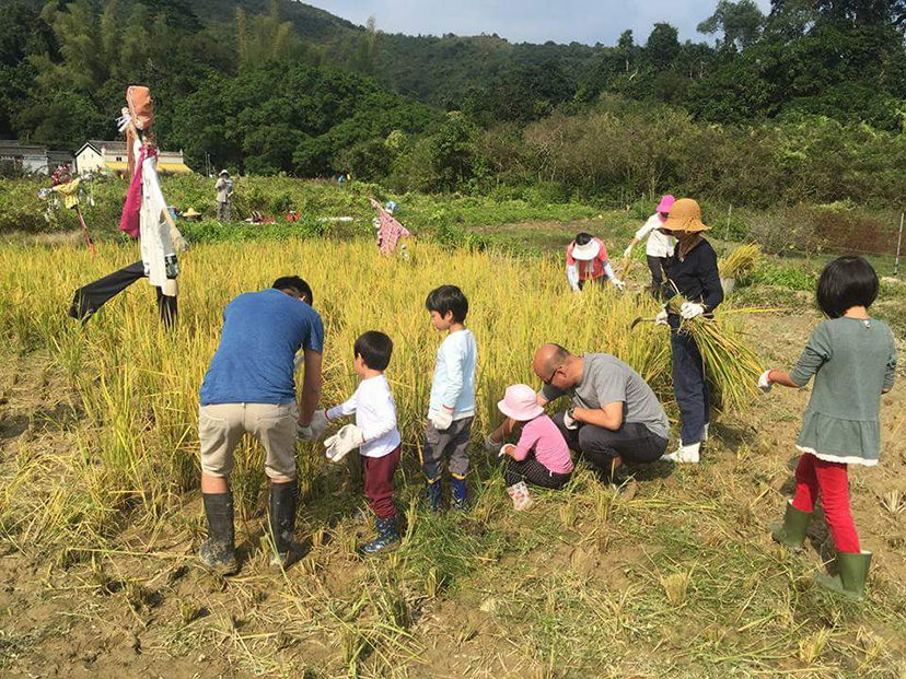 家在「窩」中農樂節 - 撲飛 POPTICKET