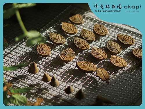 薄鳧林牧場X okapi studio: 天然蚊香及驅蚊包工作坊 - 撲飛 POPTICKET